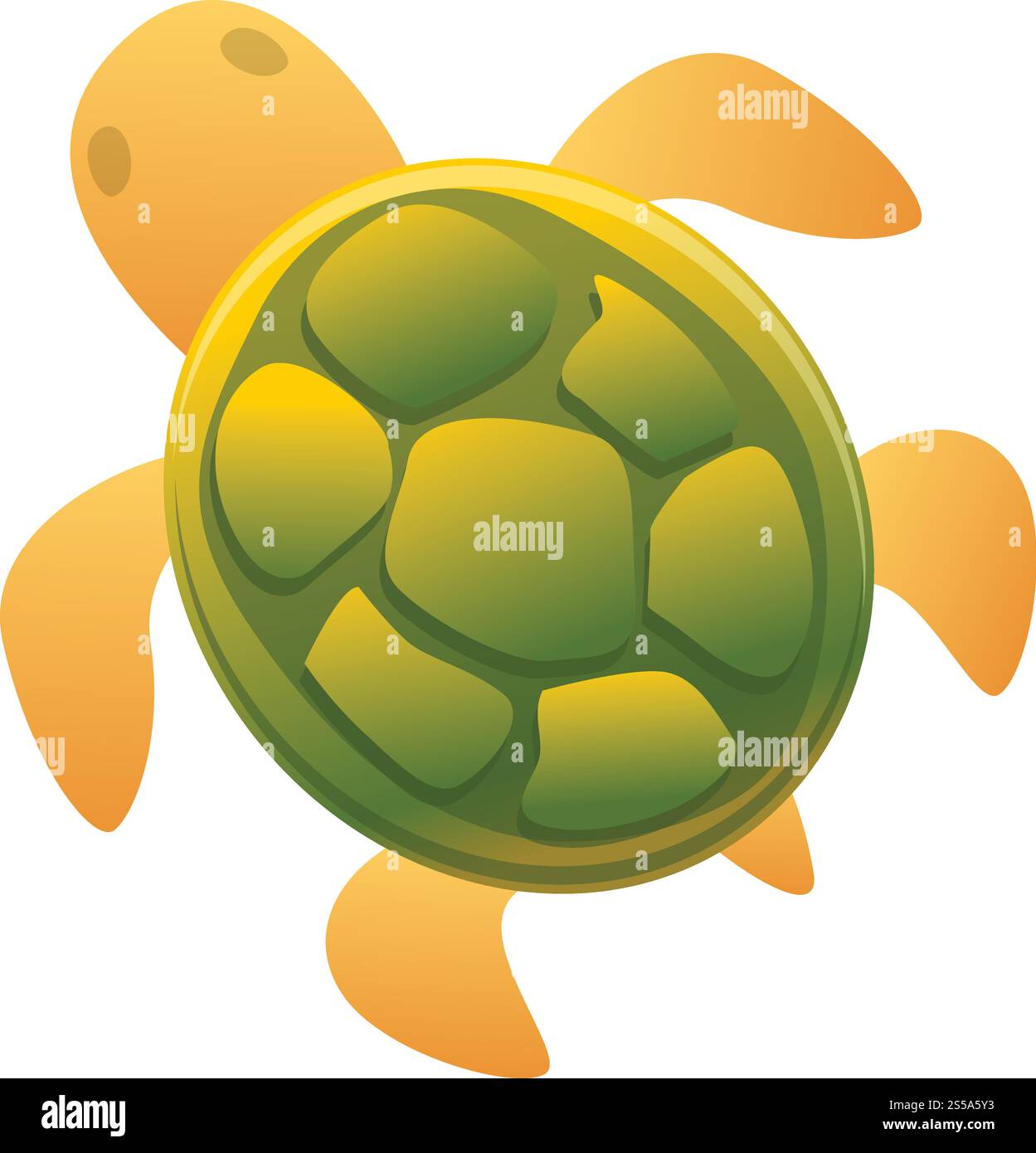 Kid turtle icon. Cartoon of kid turtle vector icon for web design ...