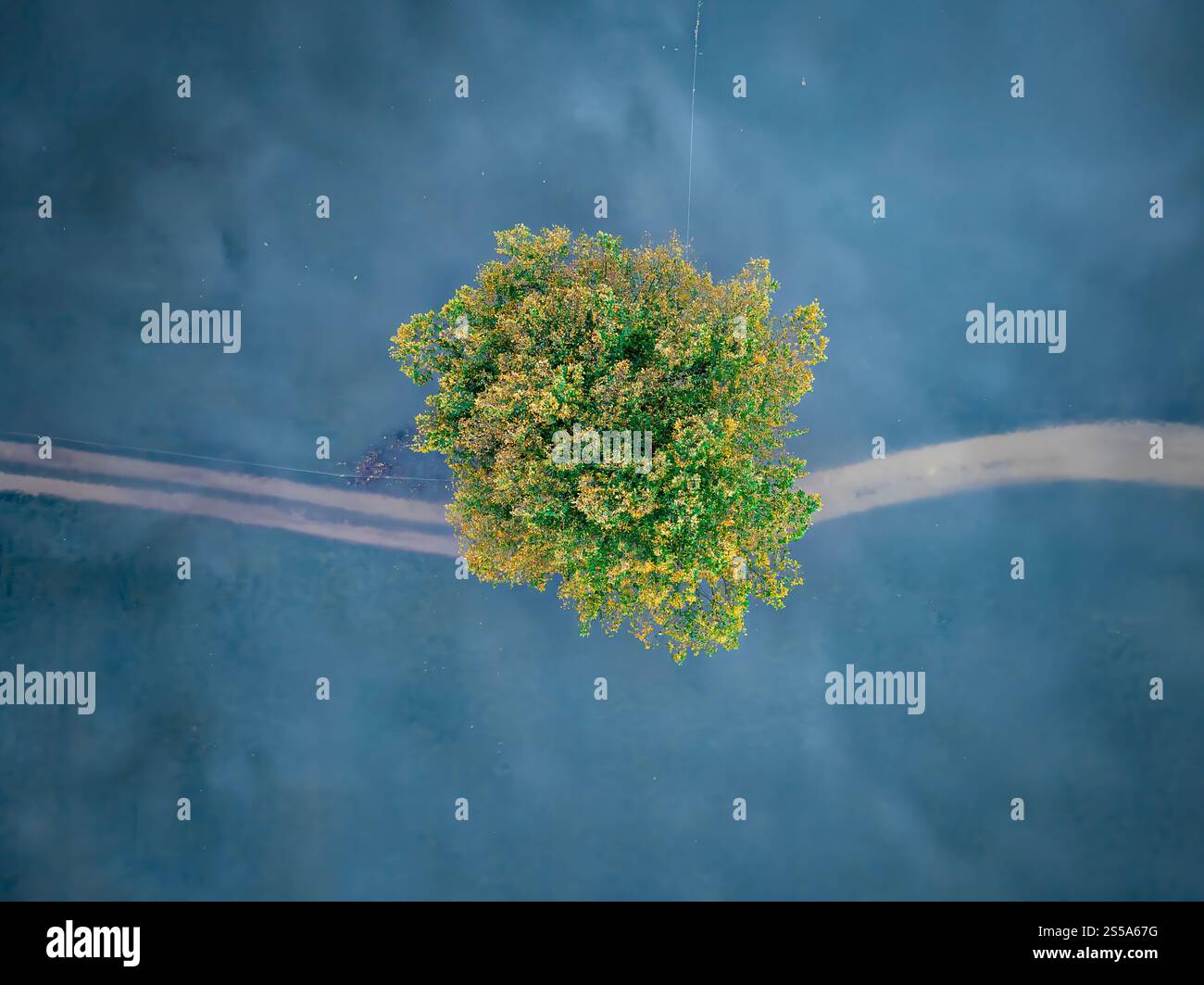 Karst field hi-res stock photography and images - Alamy