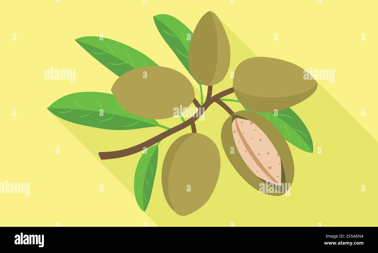 Amande Stock Vector Images - Alamy