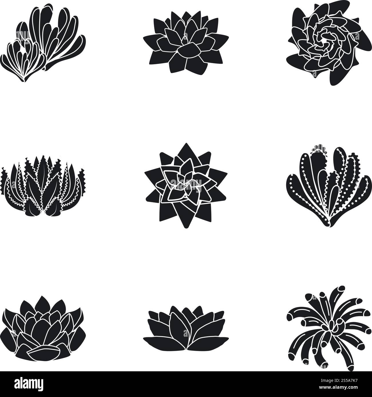 Succulent icon set. Simple set of 9 succulent vector icons for web ...