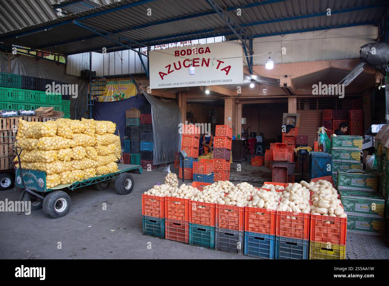 Oaxaca, Mexico; 1st January 2025: Wholesale fruit and vegetable stalls ...