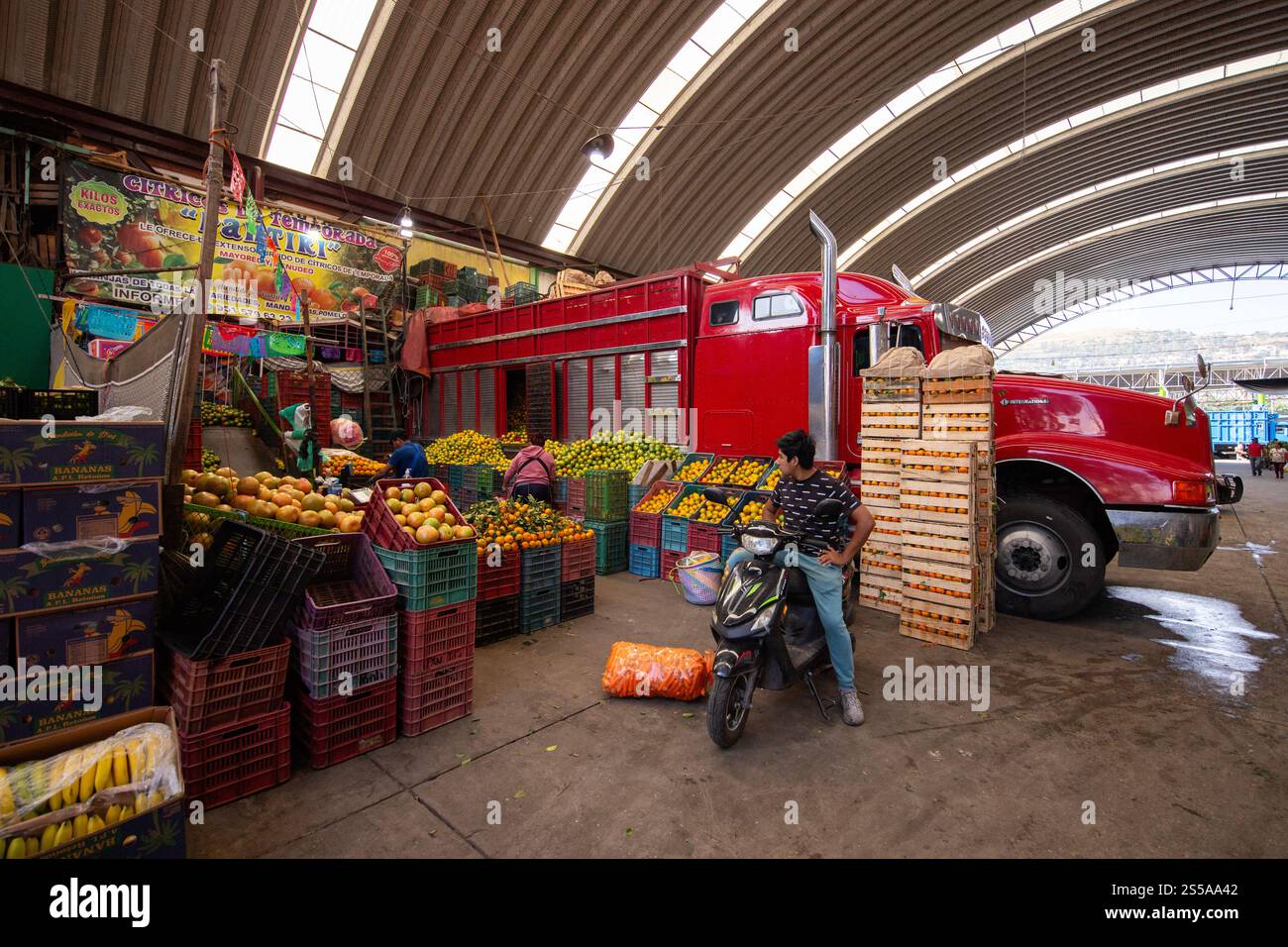 Oaxaca, Mexico; 1st January 2025: Wholesale fruit and vegetable stalls ...