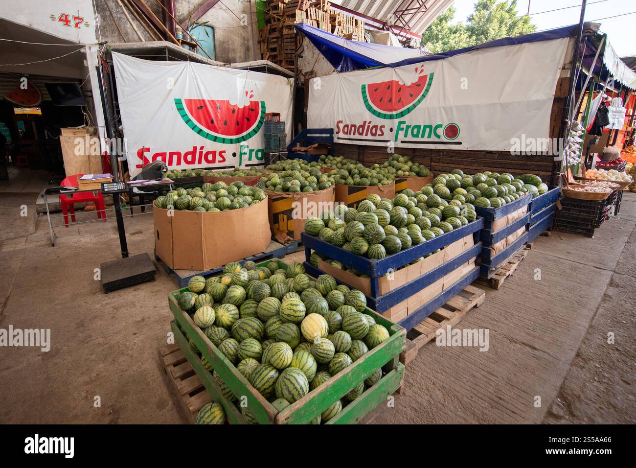 Oaxaca, Mexico; 1st January 2025: Wholesale fruit and vegetable stalls ...