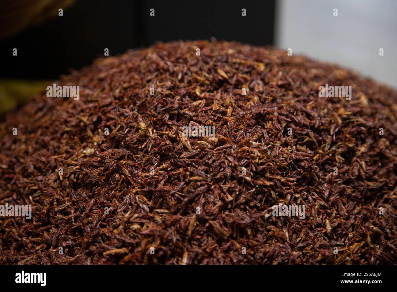 Grasshoppers are edible insects used in Mexican cuisine in the Oaxaca ...