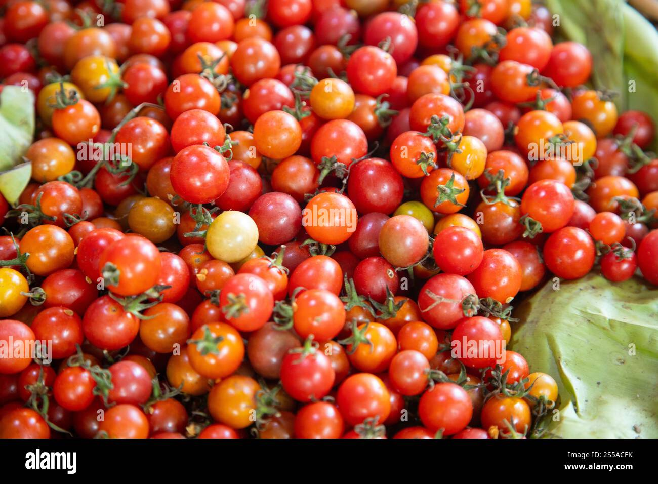 Mexican tomatillos. Small fresh green tomatoes at the Abastos market in ...
