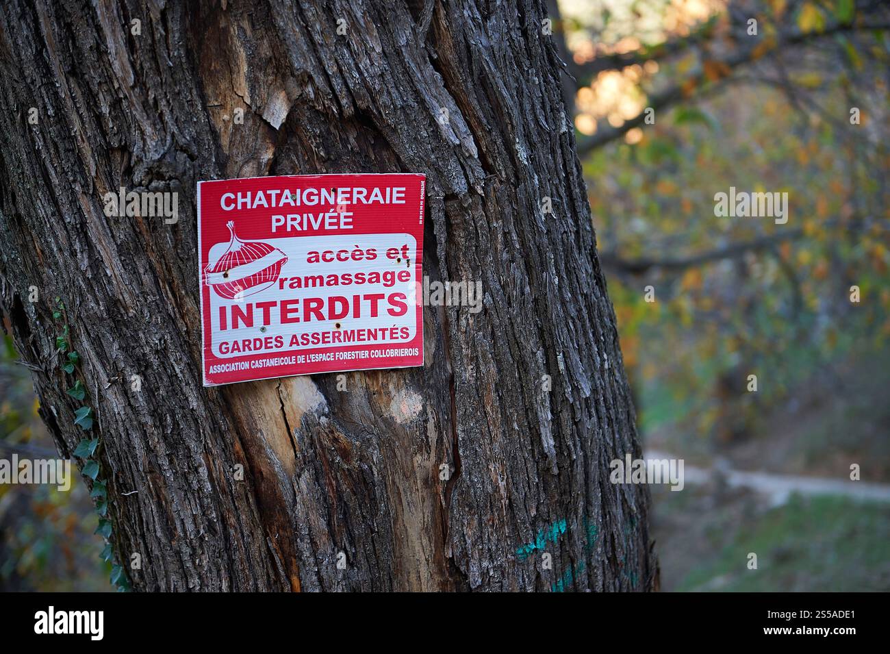Private chestnut grove hi-res stock photography and images - Alamy