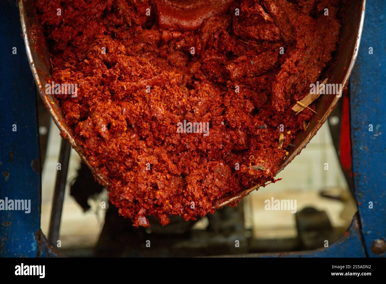 Machinery producing Mexican red mole at the Abastos market in Oaxaca ...