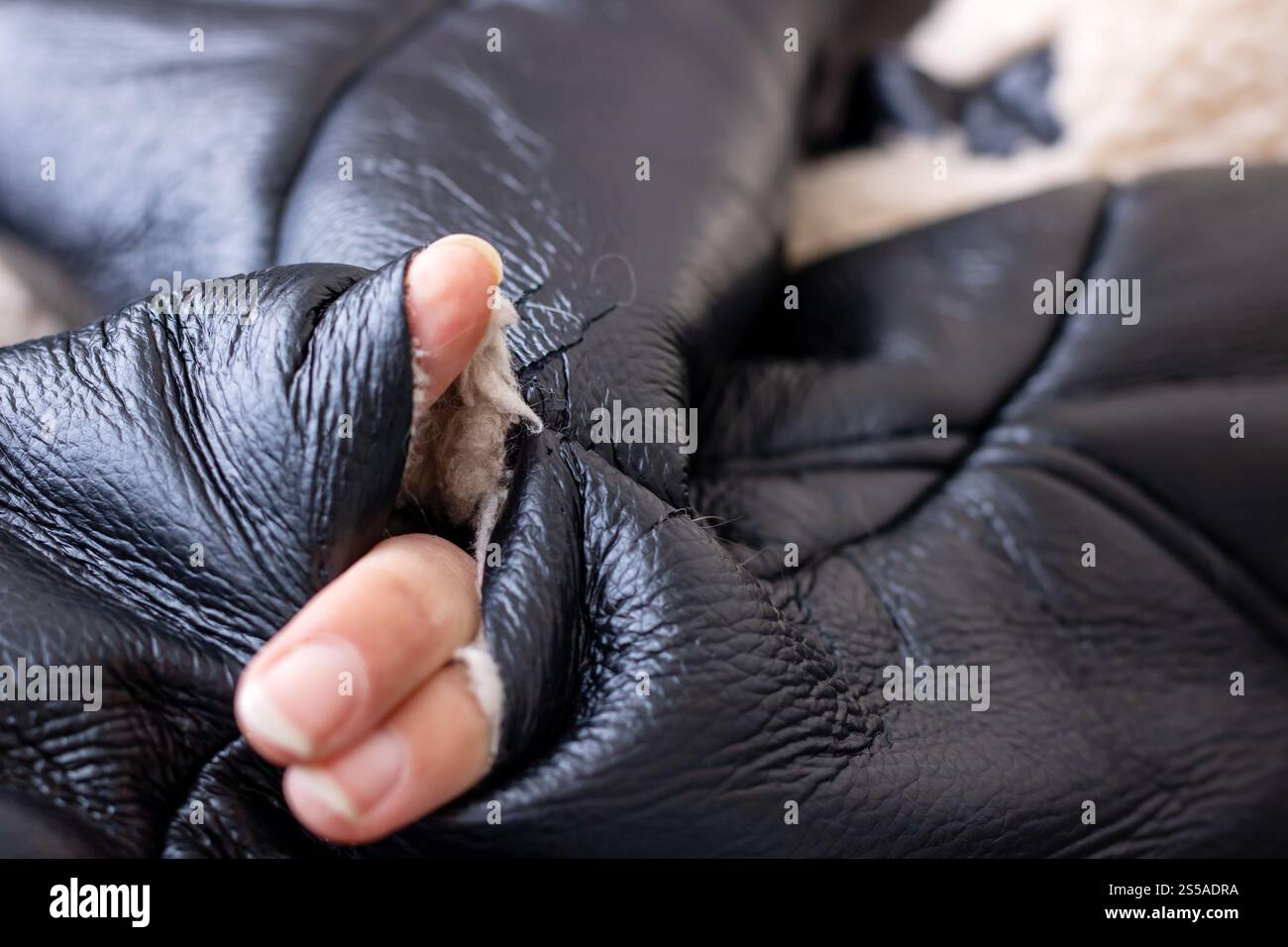 A closeup of a hand gripping a black leather glove, showcasing its rich ...