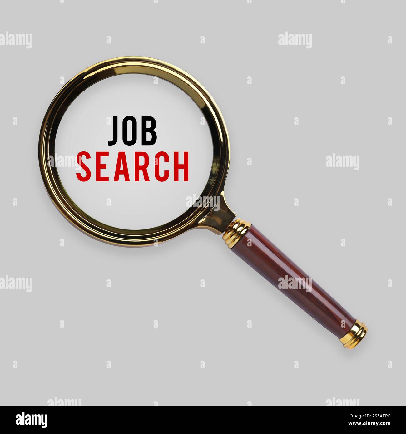 Job search words on light grey background, view through magnifying ...