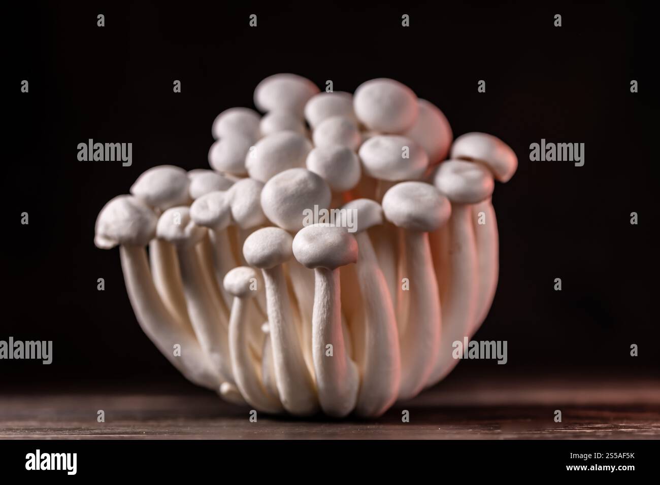 Closeup of a bunch of shimeji mushrooms with orange light, on wooden ...