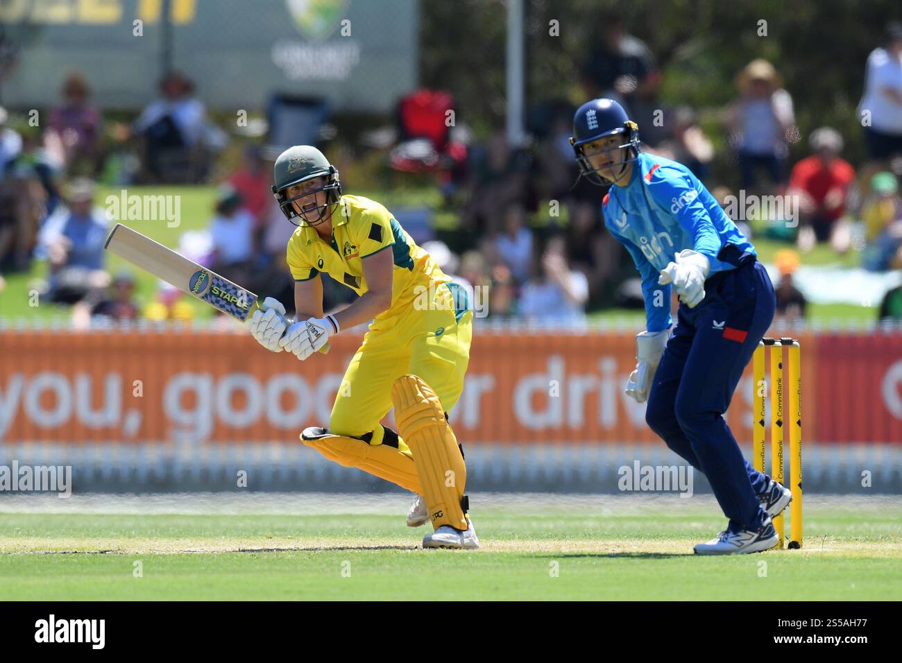 MELBOURNE AUSTRALIA. 14th Jan 2025. Pictured: Ellyse Perry of Australia ...