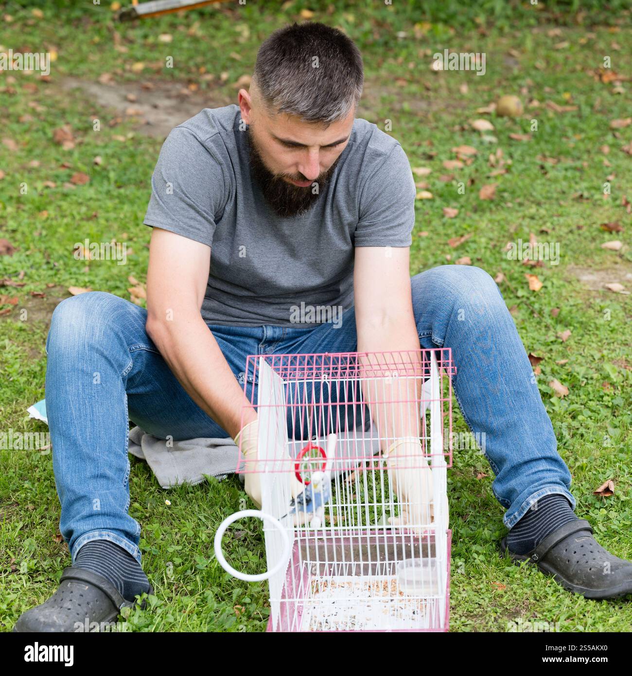 A bearded man sits on the grass, carefully tending to a bird inside a ...