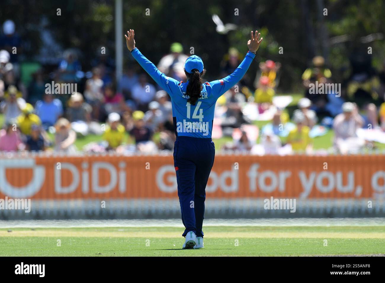 MELBOURNE AUSTRALIA. 14th Jan 2025. Pictured: Female cricketer Maia ...