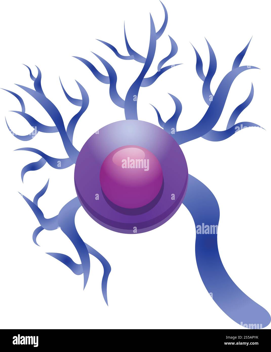 Brain neuron icon. Cartoon of brain neuron vector icon for web design ...