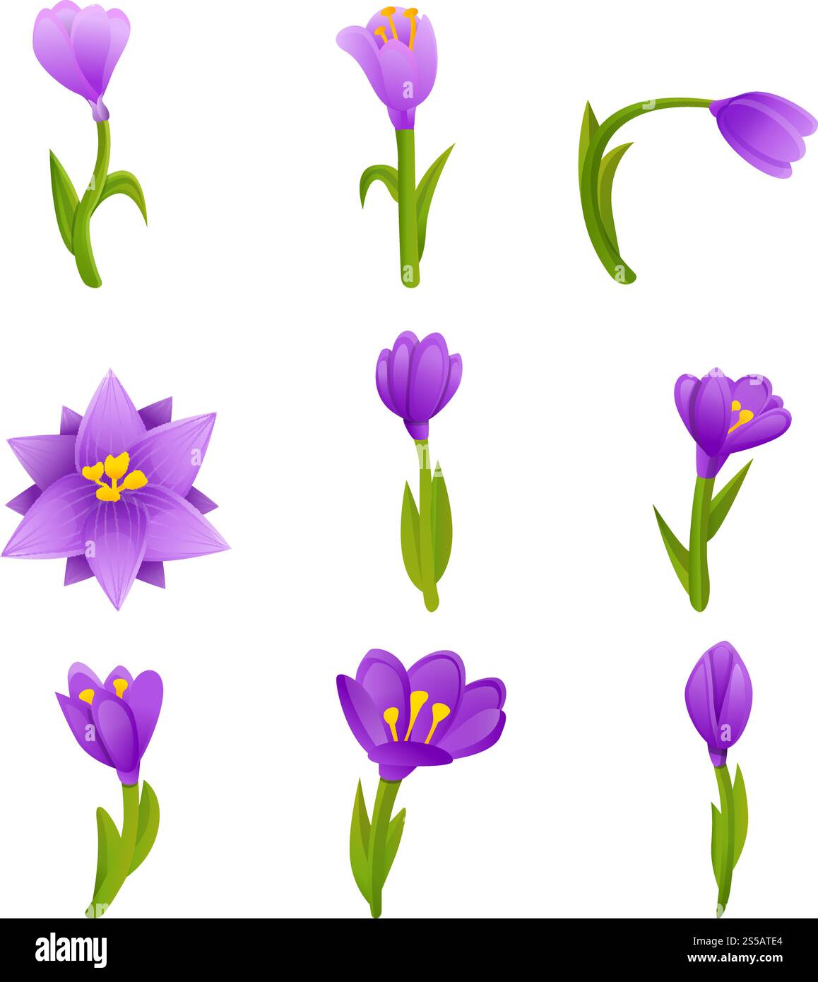 Crocus icons set. Cartoon set of crocus vector icons for web design ...