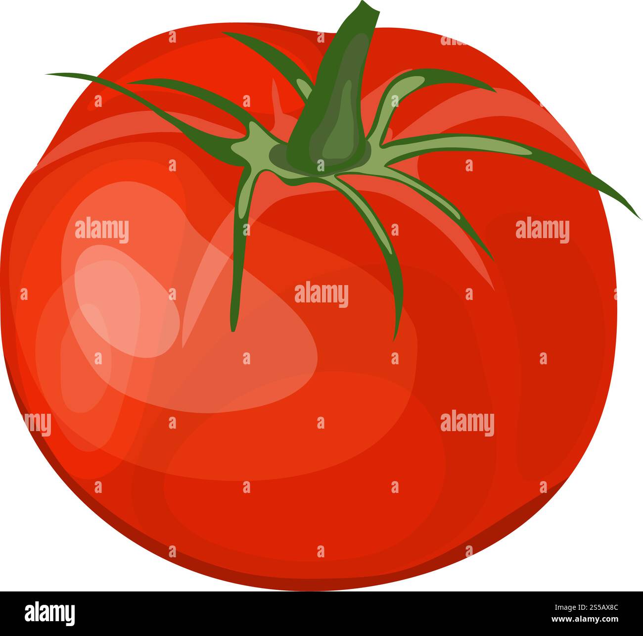 Red Tomato. Cartoon Glossy Design. Vector Illustration Stock Vector ...