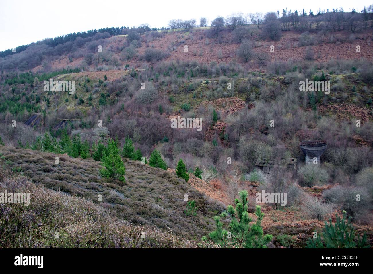 Cwm coal washery hi-res stock photography and images - Alamy