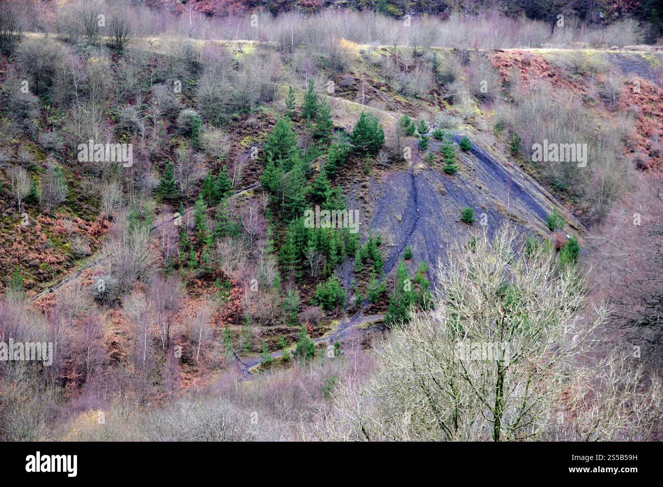 Cwm coal washery hi-res stock photography and images - Alamy