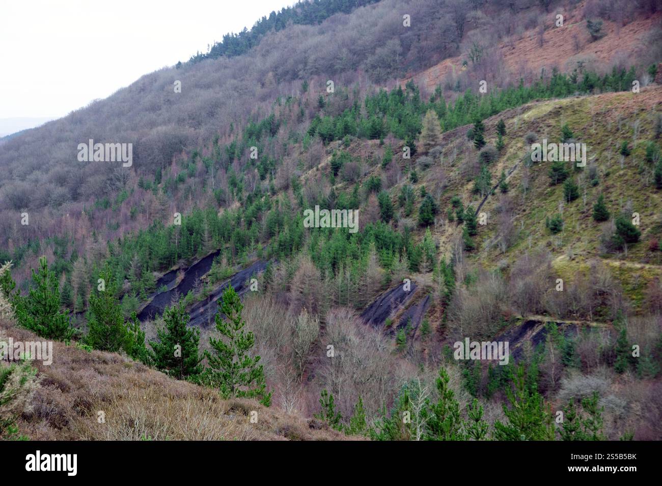 Cwm coal washery hi-res stock photography and images - Alamy