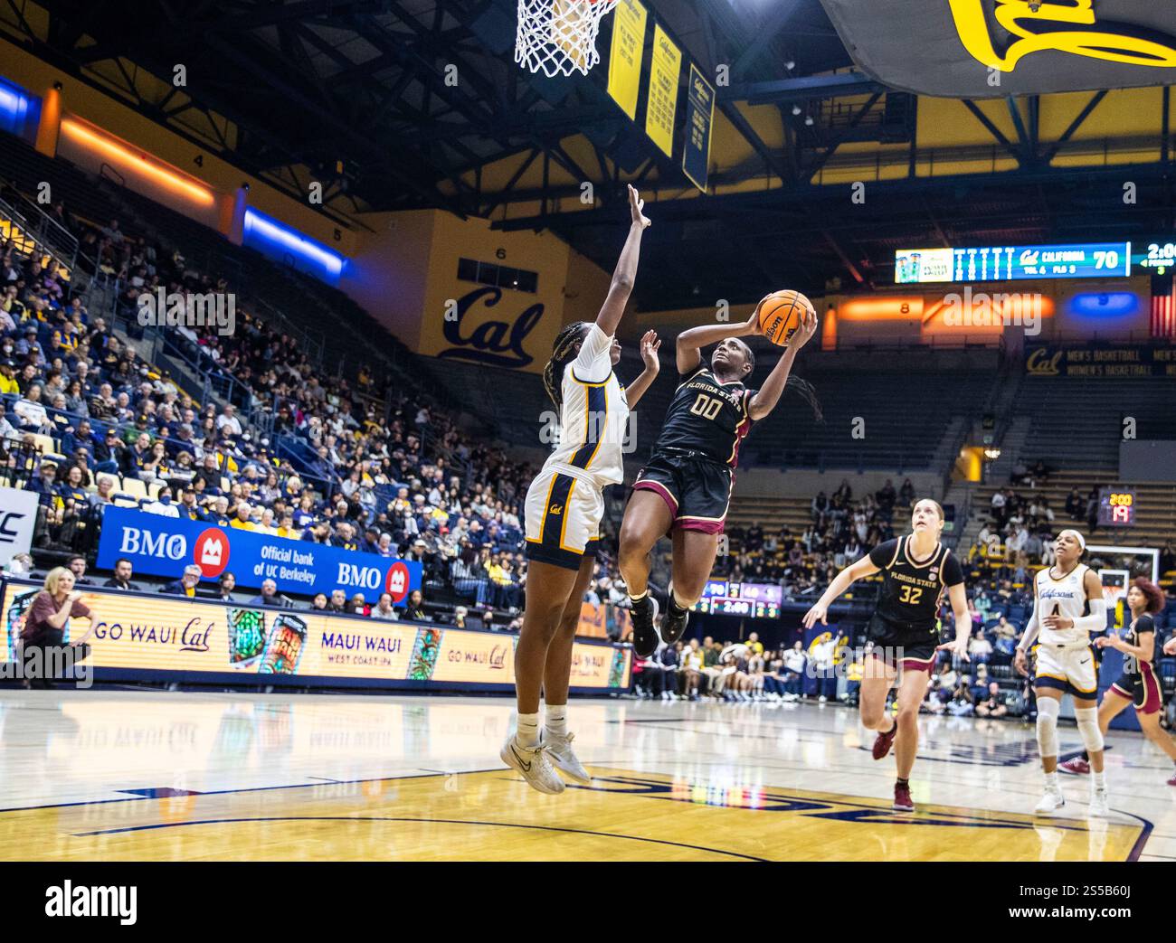 Haas Pavilion Berkeley Calif, USA. 12th Jan, 2025. USA Florida State ...