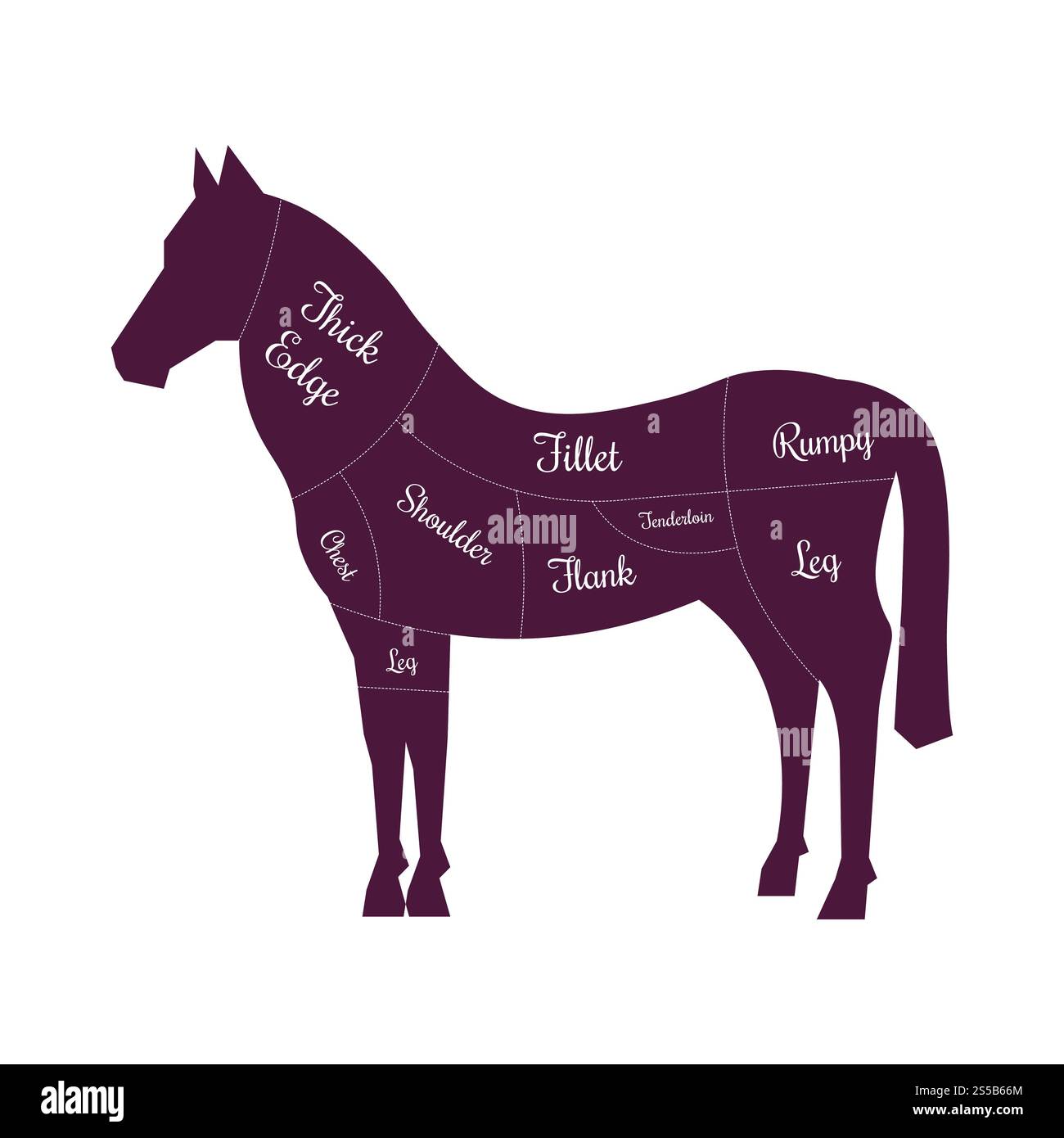 Horse butcher hi-res stock photography and images - Alamy