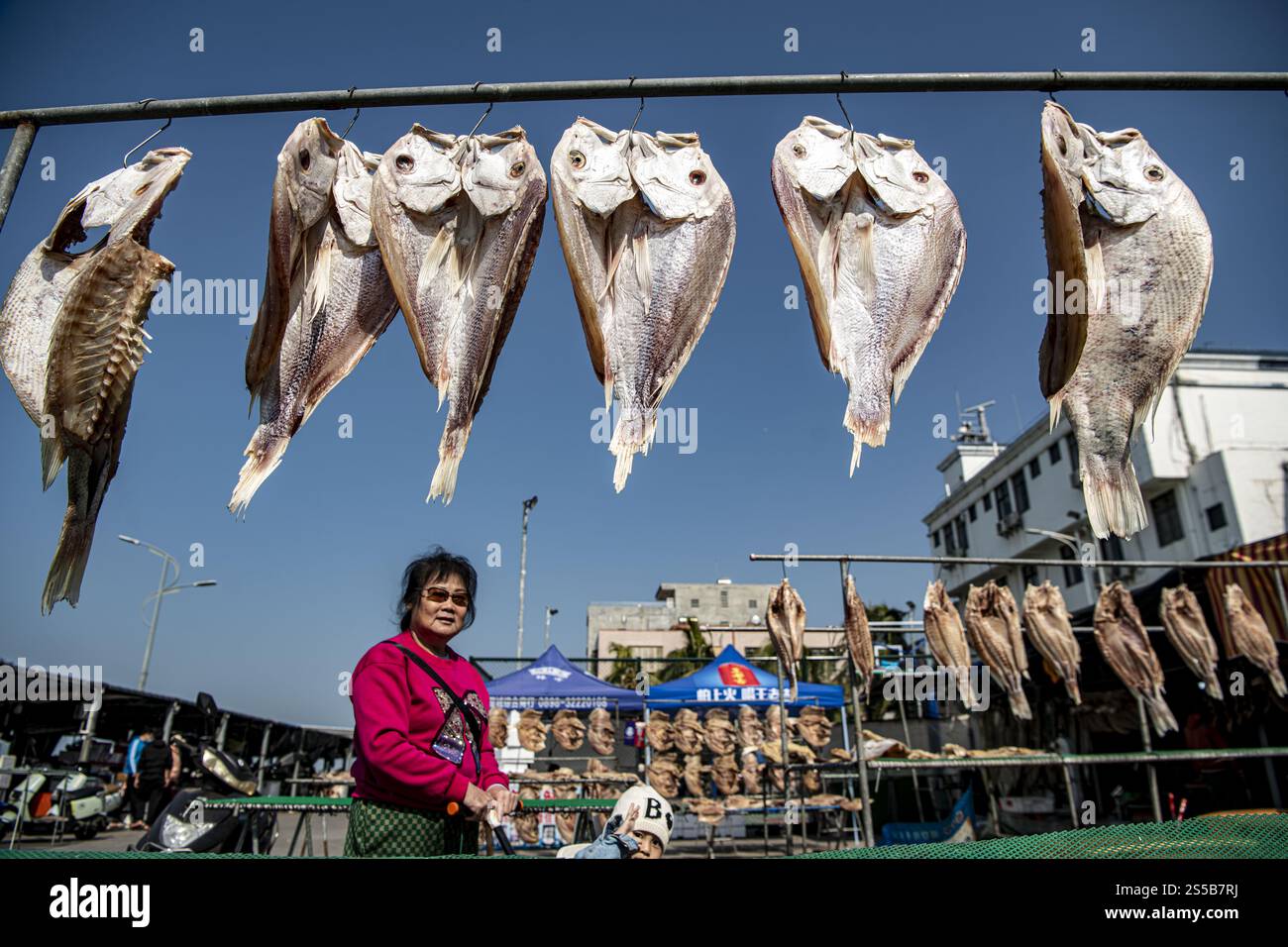 Dried fish attracts people in Wenchang City, southernmost China's ...