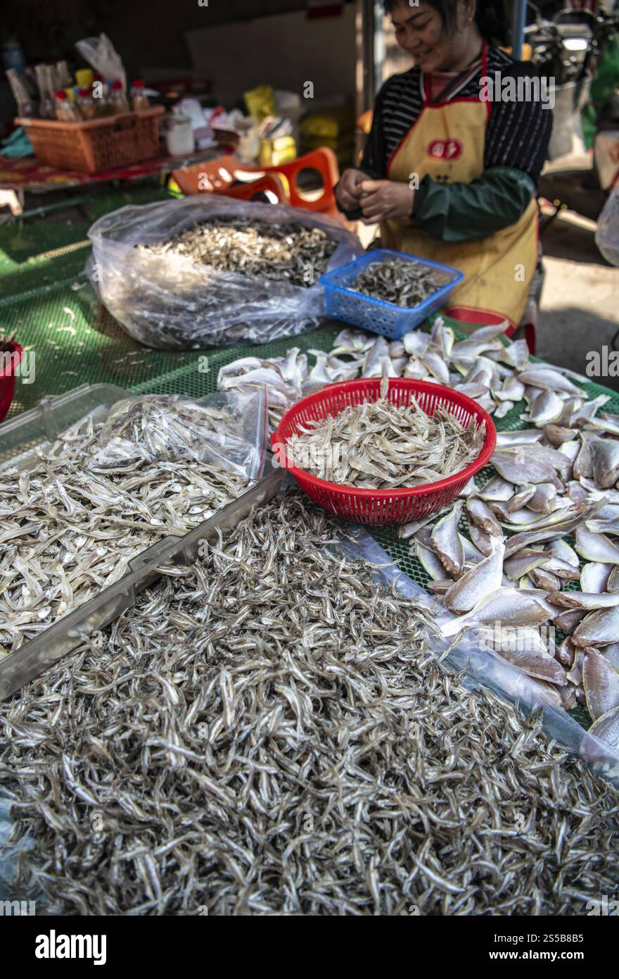 Dried fish attracts people in Wenchang City, southernmost China's ...