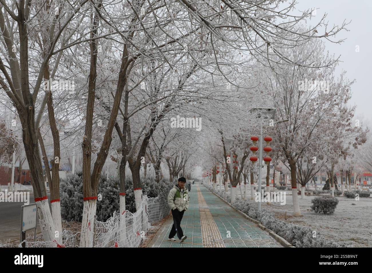 Rime scenery in Aral City, northwest China's Xinjiang Uygur Autonomous ...