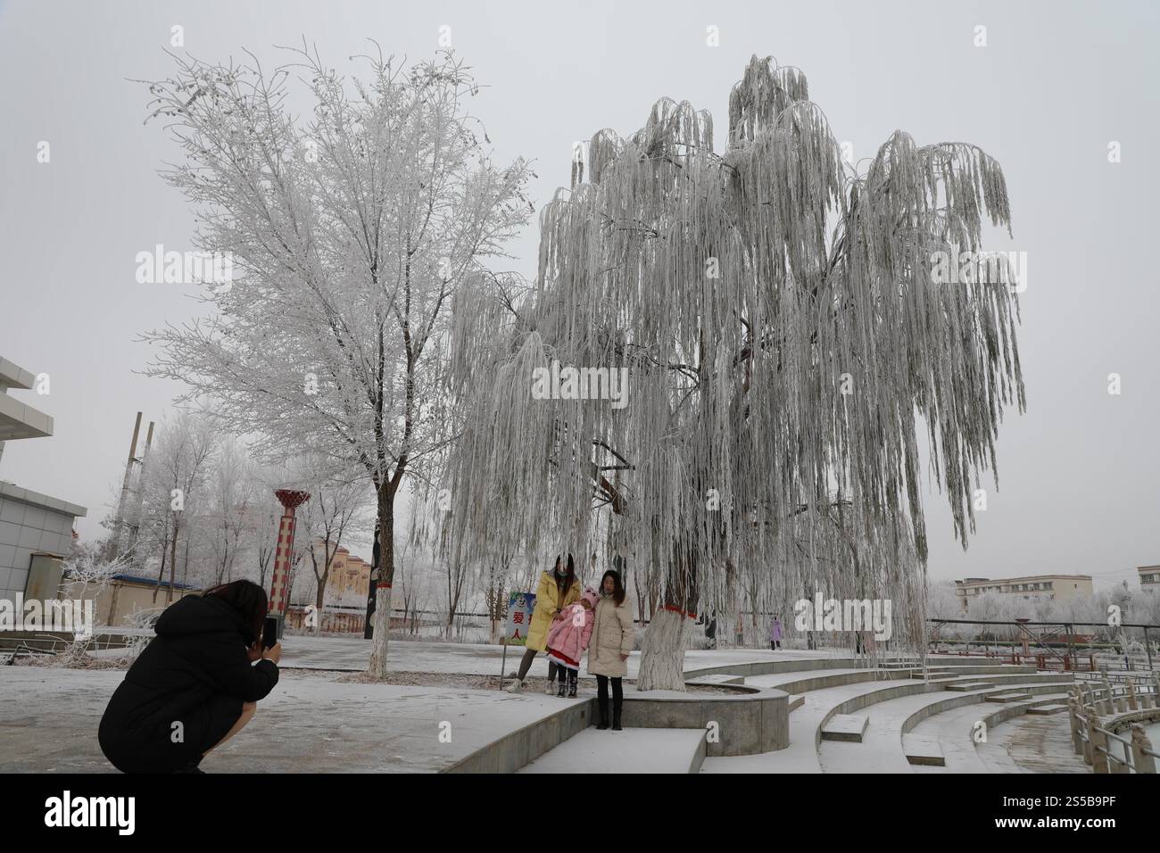 Rime scenery in Aral City, northwest China's Xinjiang Uygur Autonomous ...