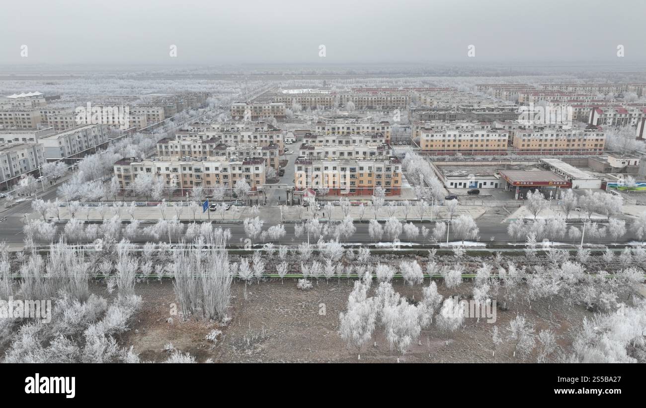 Rime scenery in Aral City, northwest China's Xinjiang Uygur Autonomous ...