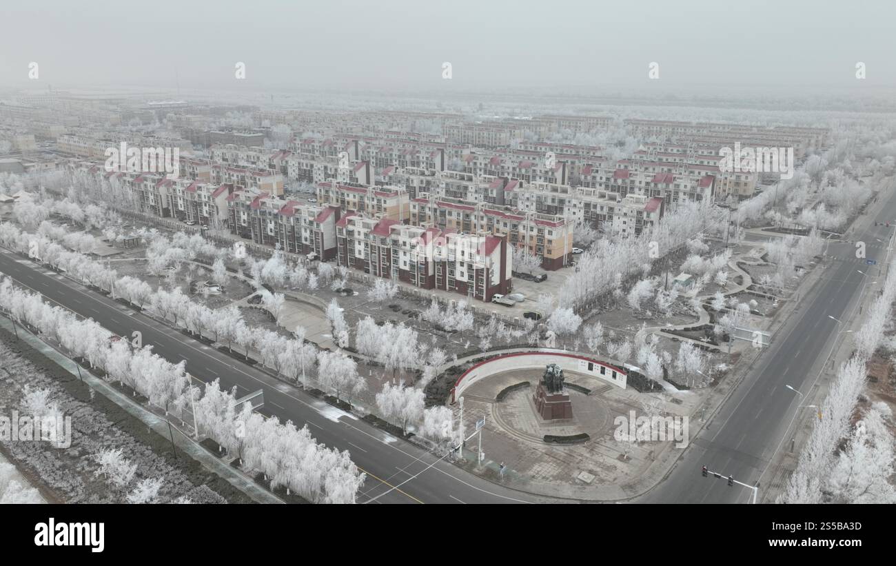 Rime scenery in Aral City, northwest China's Xinjiang Uygur Autonomous ...