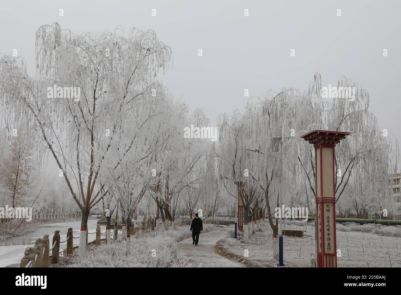 Rime scenery in Aral City, northwest China's Xinjiang Uygur Autonomous ...