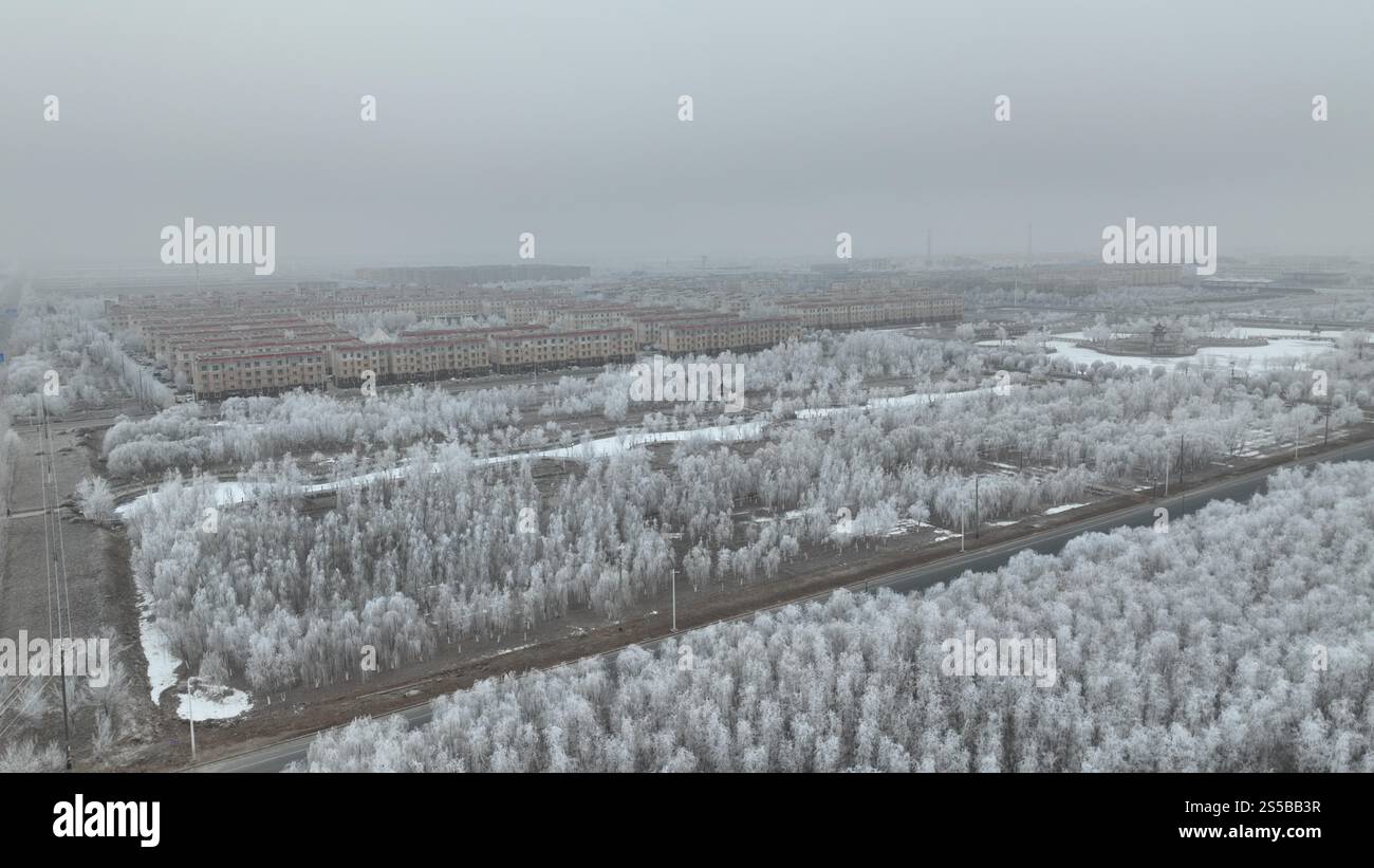 Rime scenery in Aral City, northwest China's Xinjiang Uygur Autonomous ...