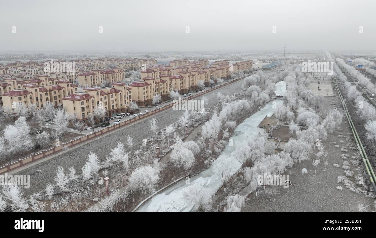 Rime scenery in Aral City, northwest China's Xinjiang Uygur Autonomous ...