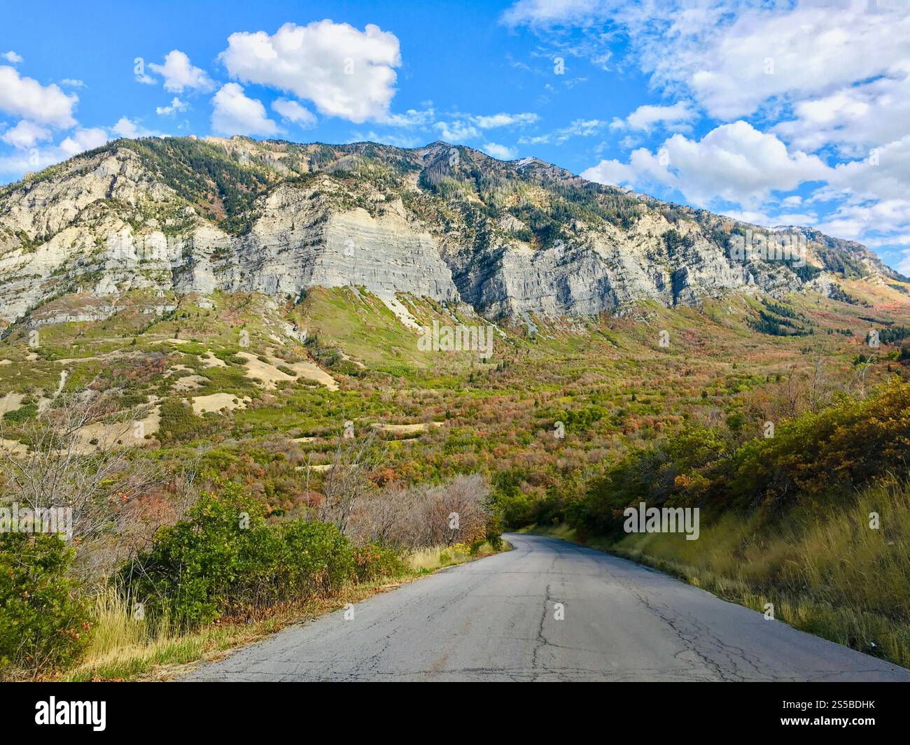 Straight road leading to Timpanogos Cave National Monument, Utah, USA ...