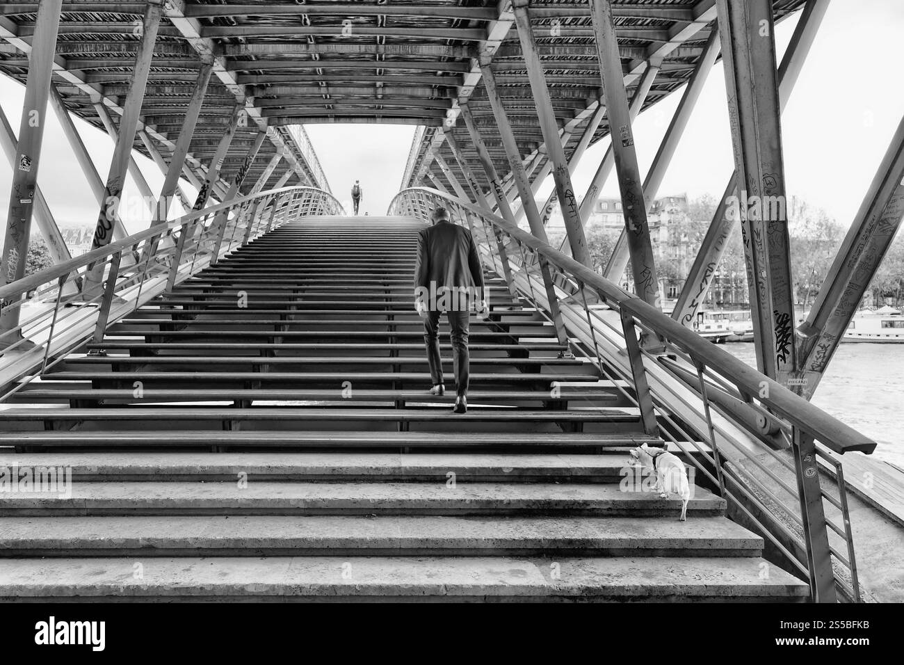 Dog stairs man dog stairs Black and White Stock Photos & Images - Alamy