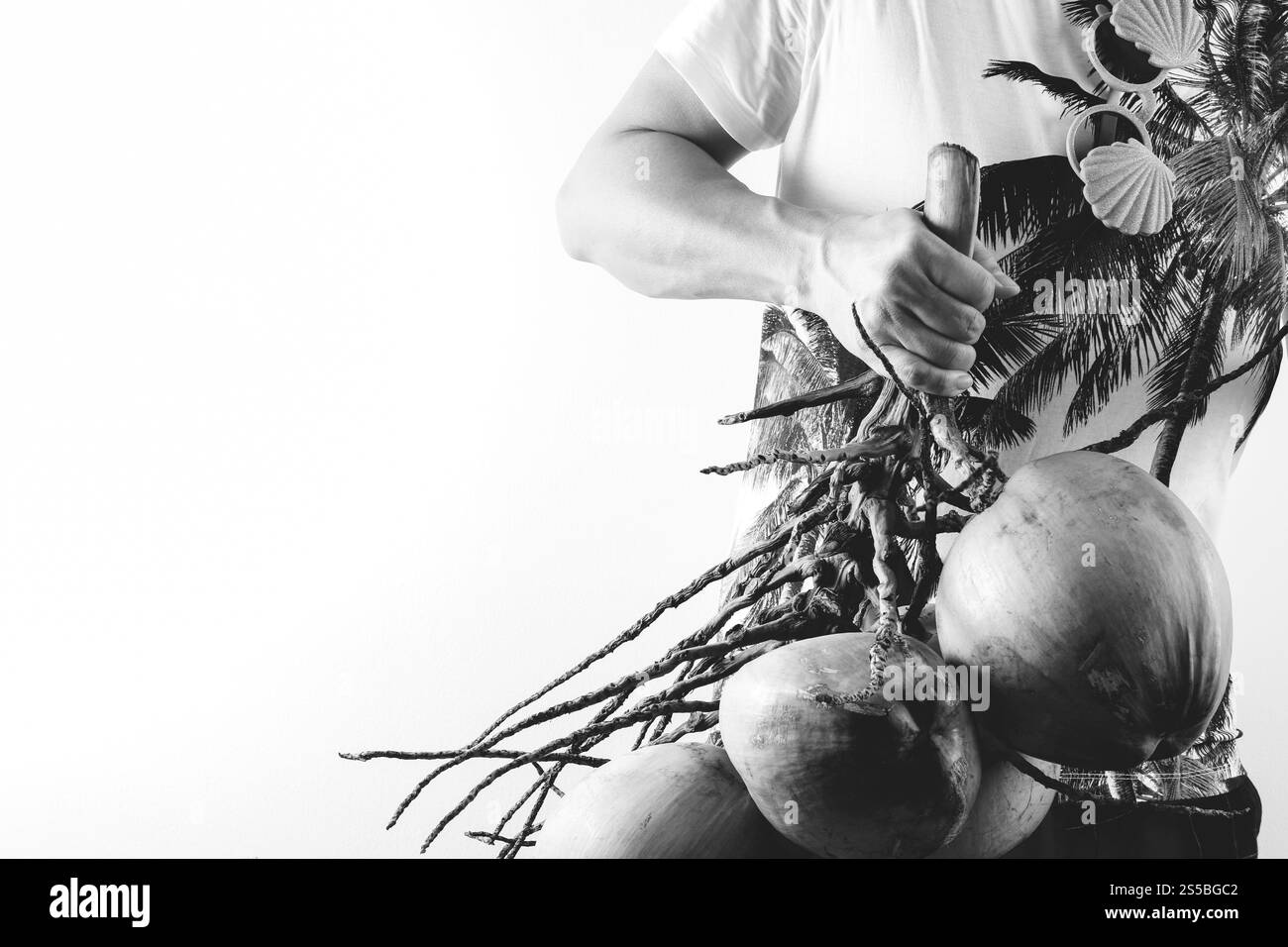 Fruit design graphics Black and White Stock Photos & Images - Alamy