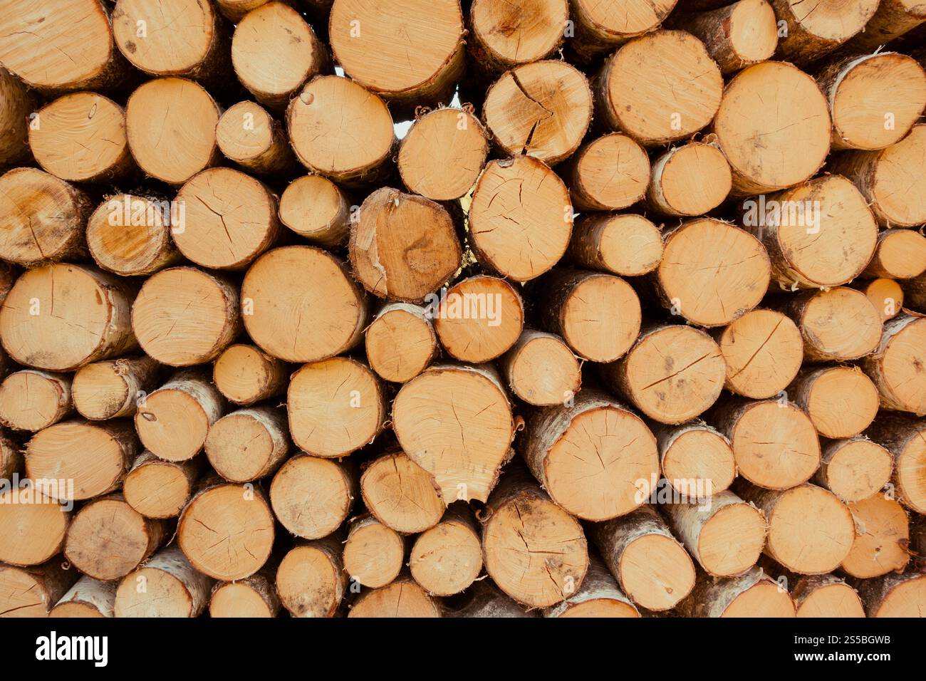 Stack of tree trunks. Texture background wallpaper. Stack of tree ...