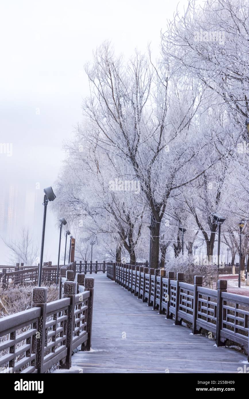 Rime scenery around the Songhua River in Jilin City, northeast China's ...