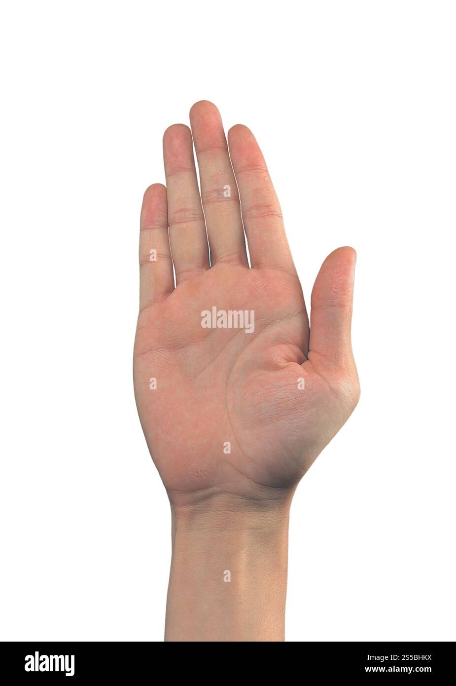 man hand isolated on white background Stock Photo - Alamy