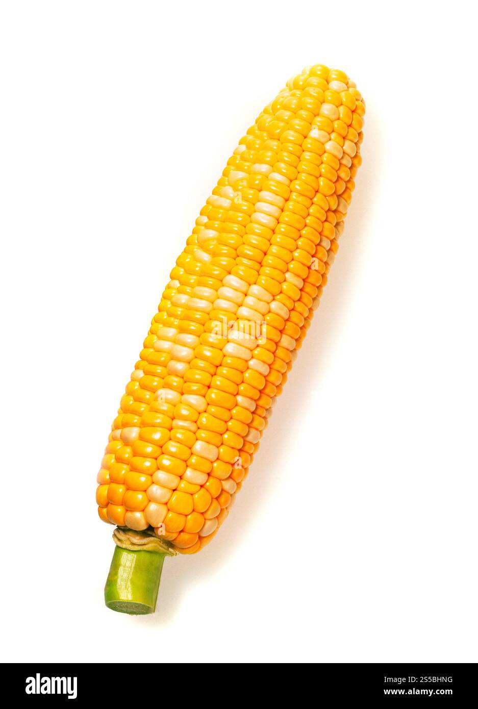 Closeup fresh green corn hi-res stock photography and images - Alamy