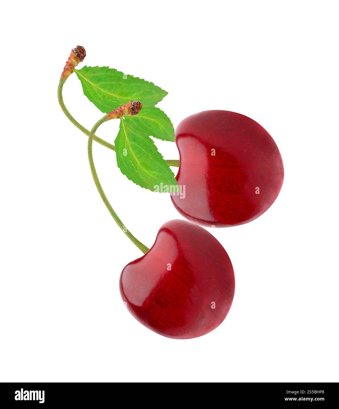 Harvesting background Cut Out Stock Images & Pictures - Alamy