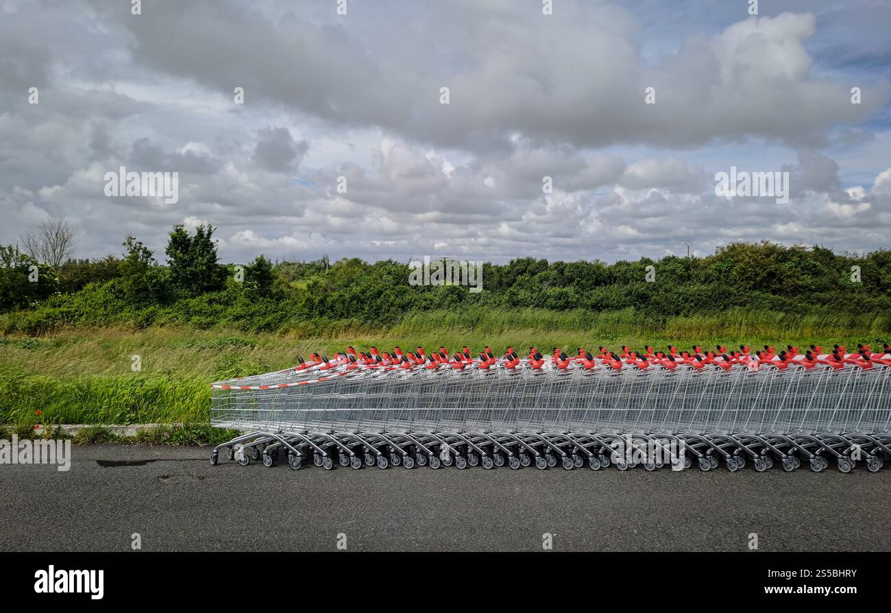 Shopping carts in a supermarket parking lot Stock Photo - Alamy