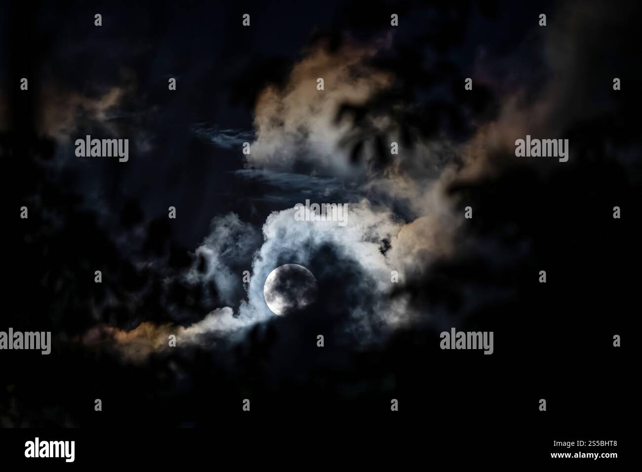 Shot full moon behind hi-res stock photography and images - Alamy