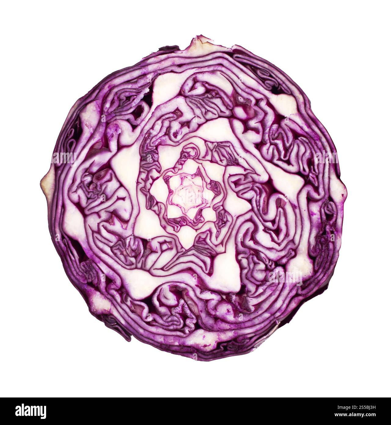 Cabbage nutrition Cut Out Stock Images & Pictures - Alamy