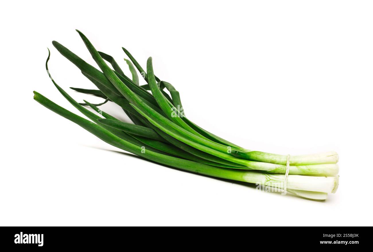 Beautiful horizontal closeup shot hi-res stock photography and images ...