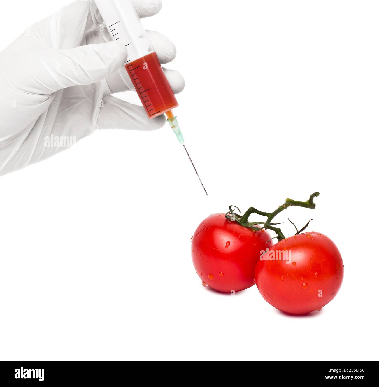 Gmo product concept: Tomato injection isolated Stock Photo - Alamy