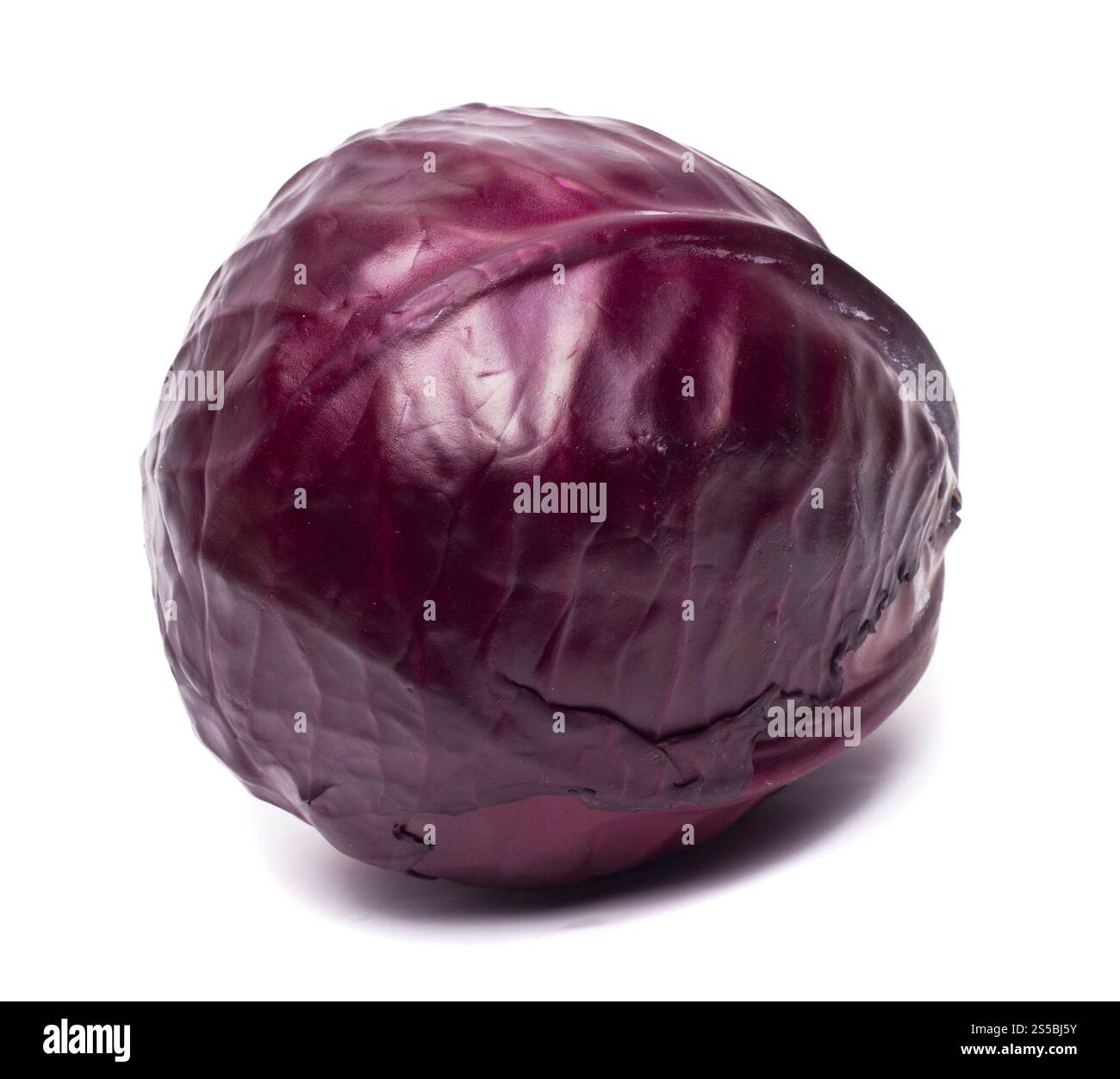 fresh red cabbage on a white background Stock Photo - Alamy