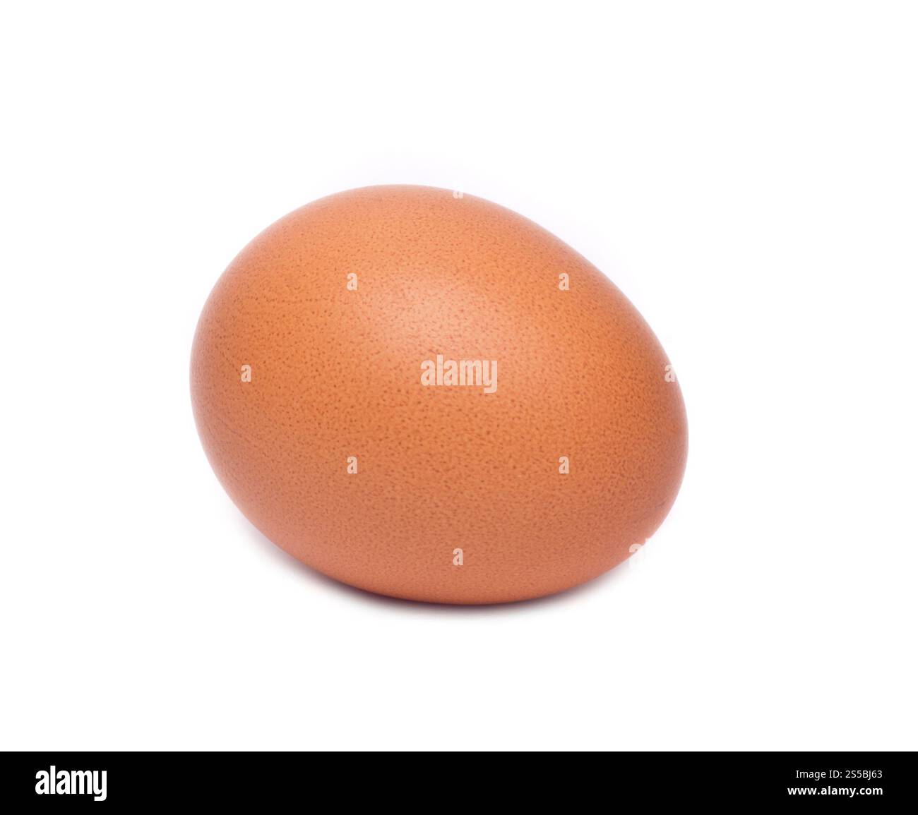 Close up of an egg isolated on white background Stock Photo - Alamy