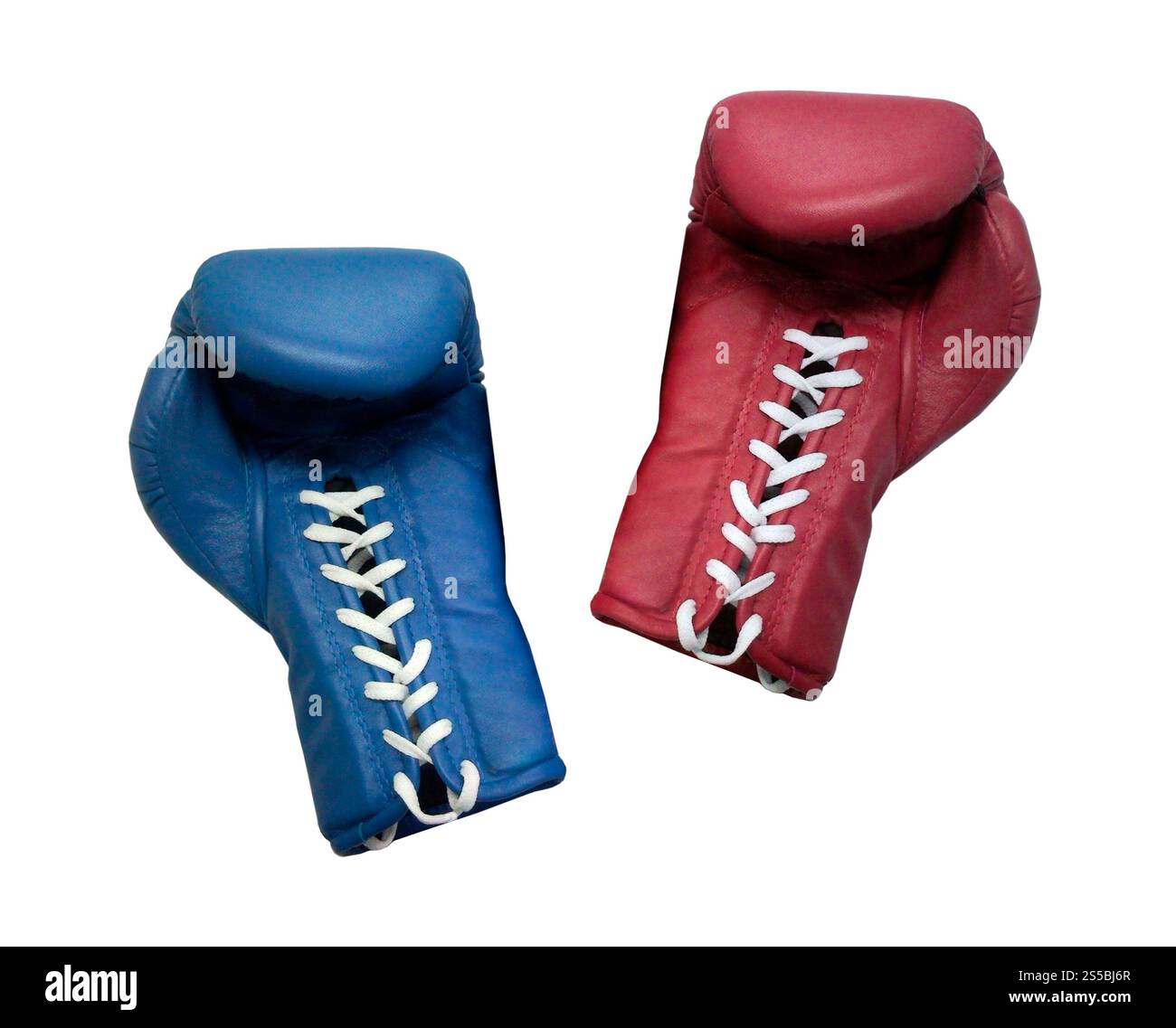 two boxing gloves on a white background close up Stock Photo - Alamy